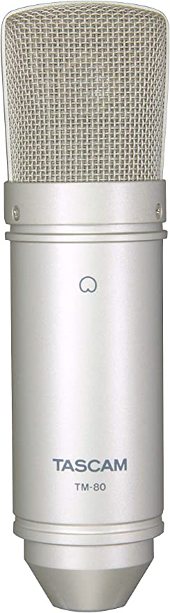 Tascam TM-80 Large Diaphagm Condenser Microphone – PeachImports
